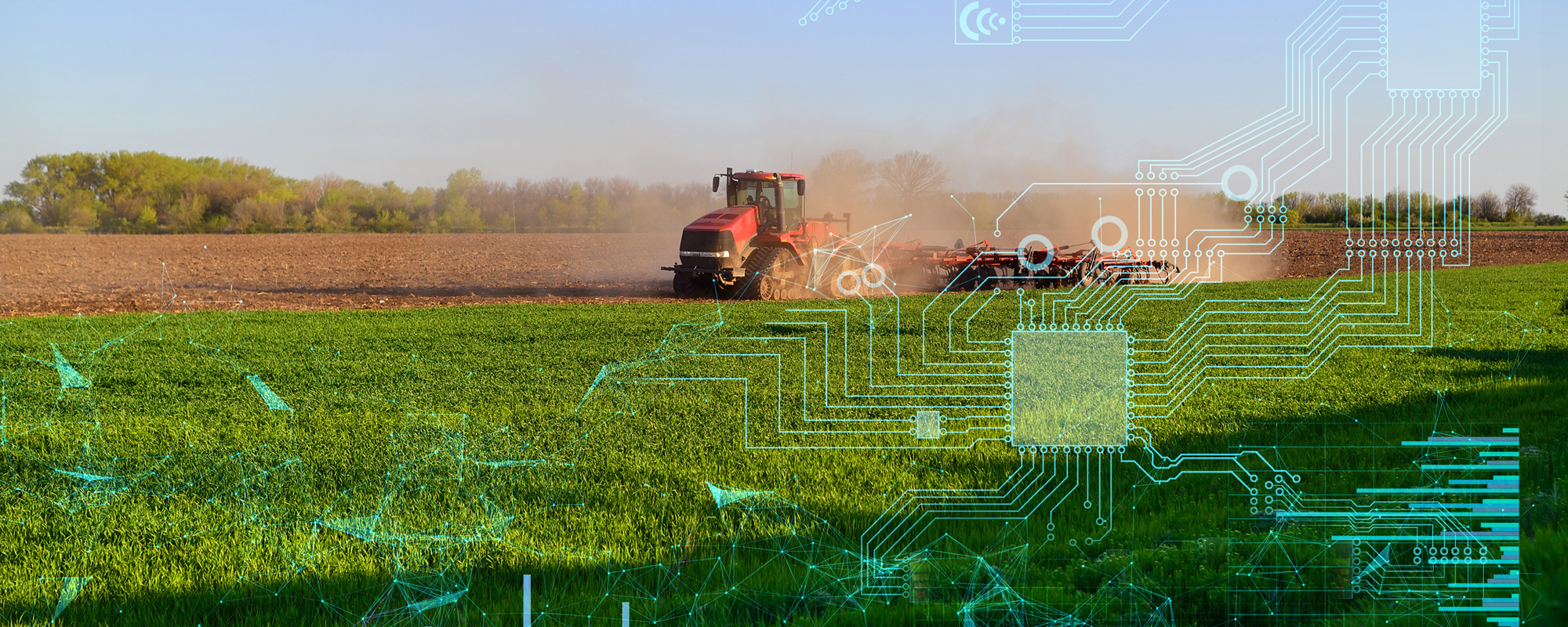 "Prodotti colti" - Innovazione, sicurezza e sostenibilità nell’Agrifood ...